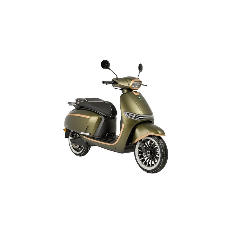 GTS E-LEVANTI (1ACCU)